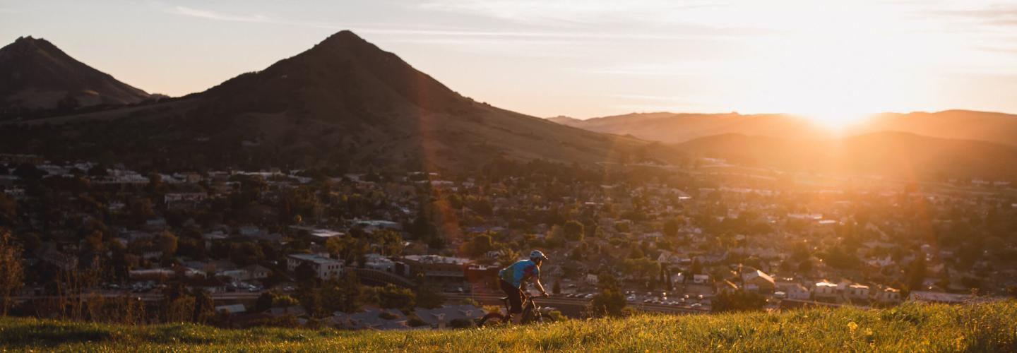 Home | Lewis Financial